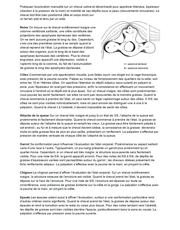 Evaluation du score corporel - Harmonie Nutrition Equine