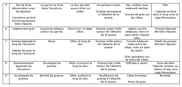 Evaluation du score corporel - Harmonie Nutrition Equine
