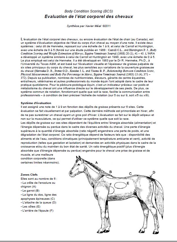 Evaluation du score corporel - Harmonie Nutrition Equine